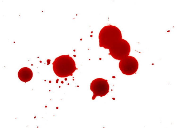 Årsager og Behandling af Blod i Afføring – Vigtig viden – Nordic Tests ApS